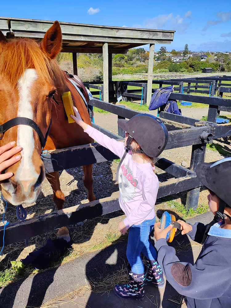 Pony Parties | Meadowbank Pony Club
