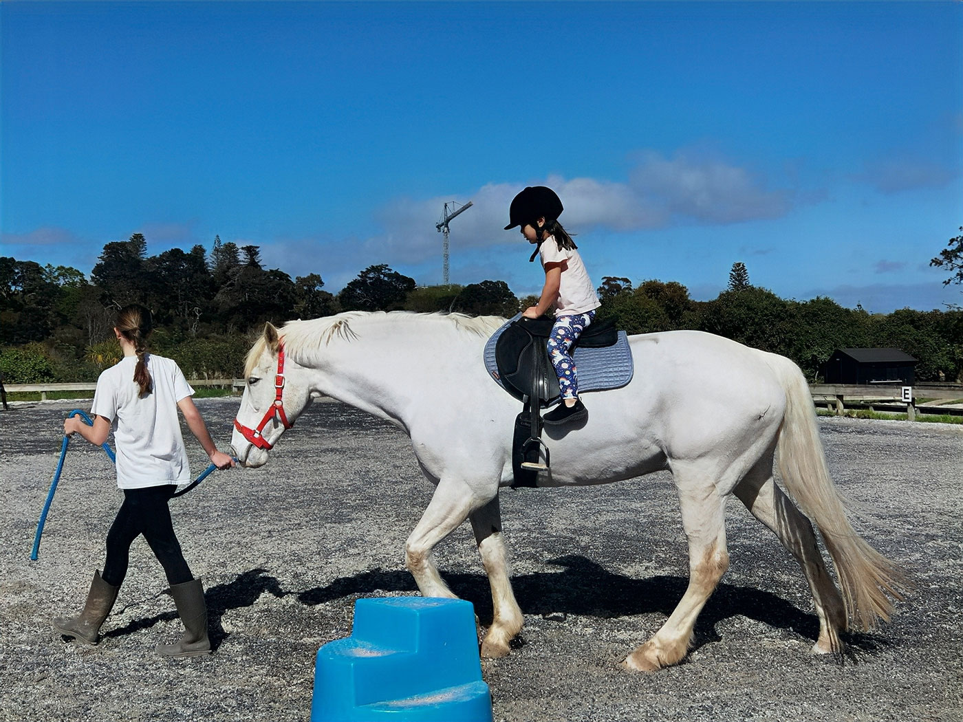 Pony Parties | Meadowbank Pony Club