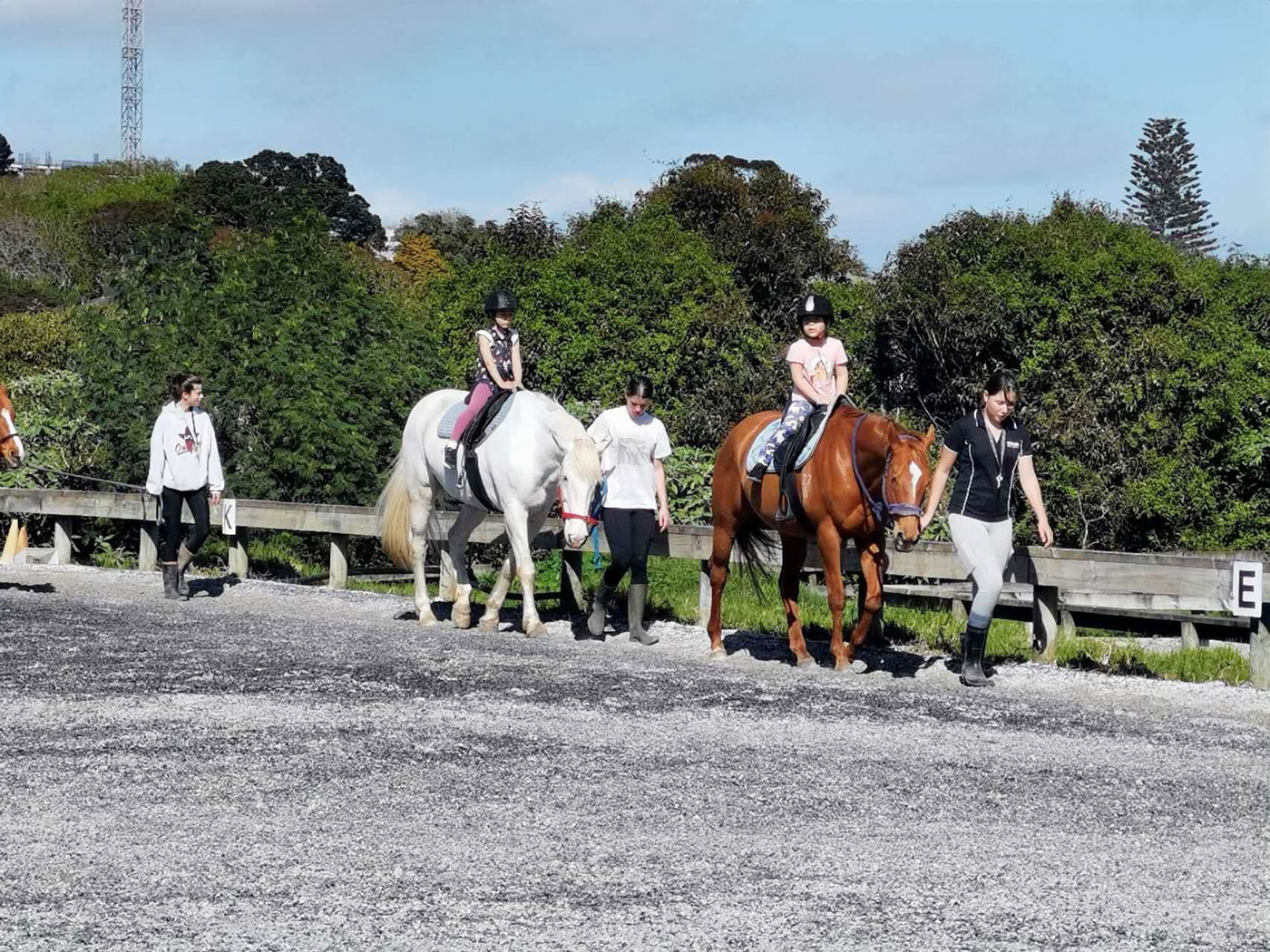 Pony Parties | Meadowbank Pony Club