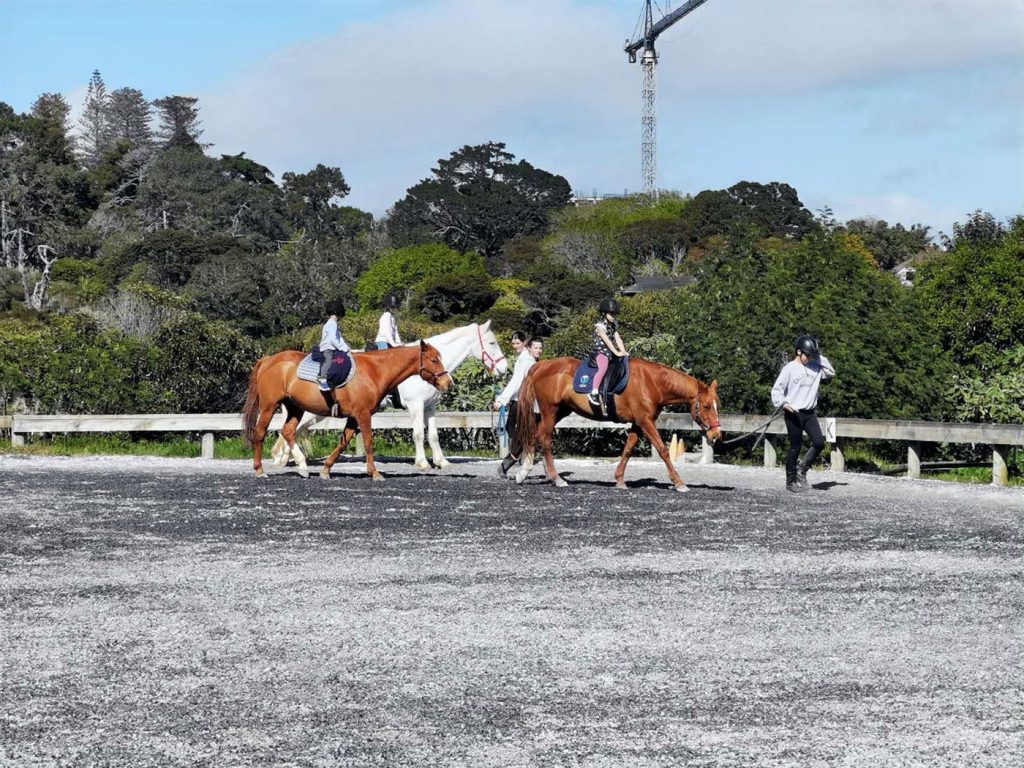 Pony Parties | Meadowbank Pony Club