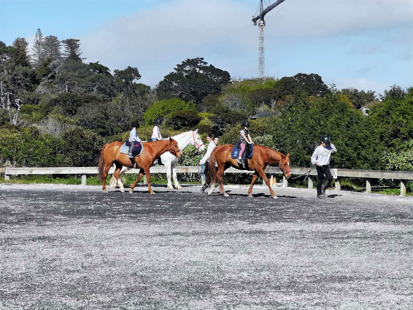 Pony Parties | Meadowbank Pony Club