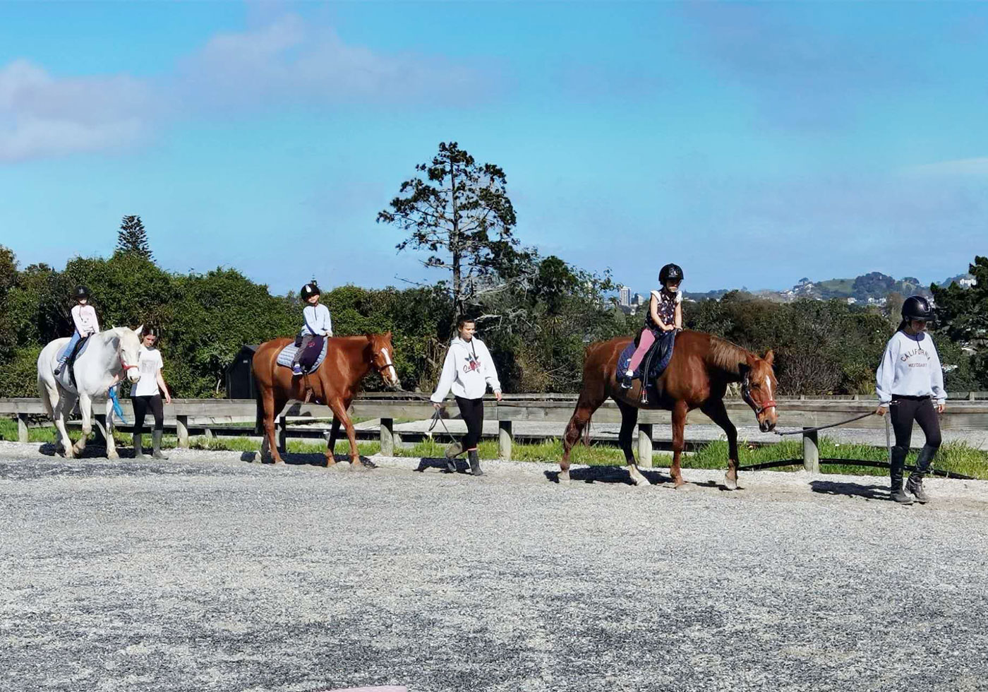 Pony Parties | Meadowbank Pony Club